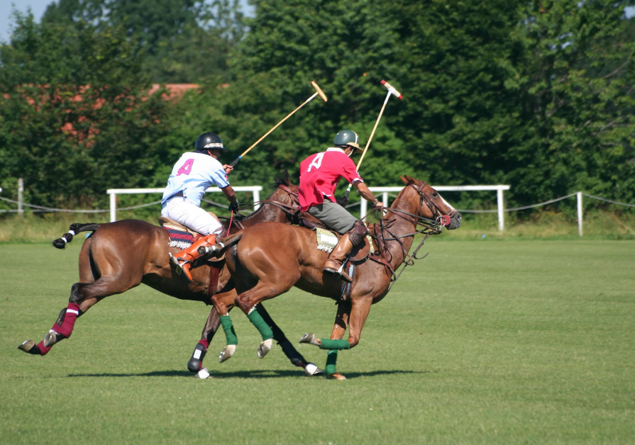 Supporting 54’s strategic acquisition of Sportgate International | East ...